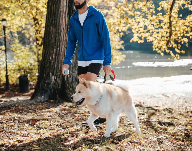 Pametni savjeti kako jesti za bolju probavu i manju nadutost trbuha ...